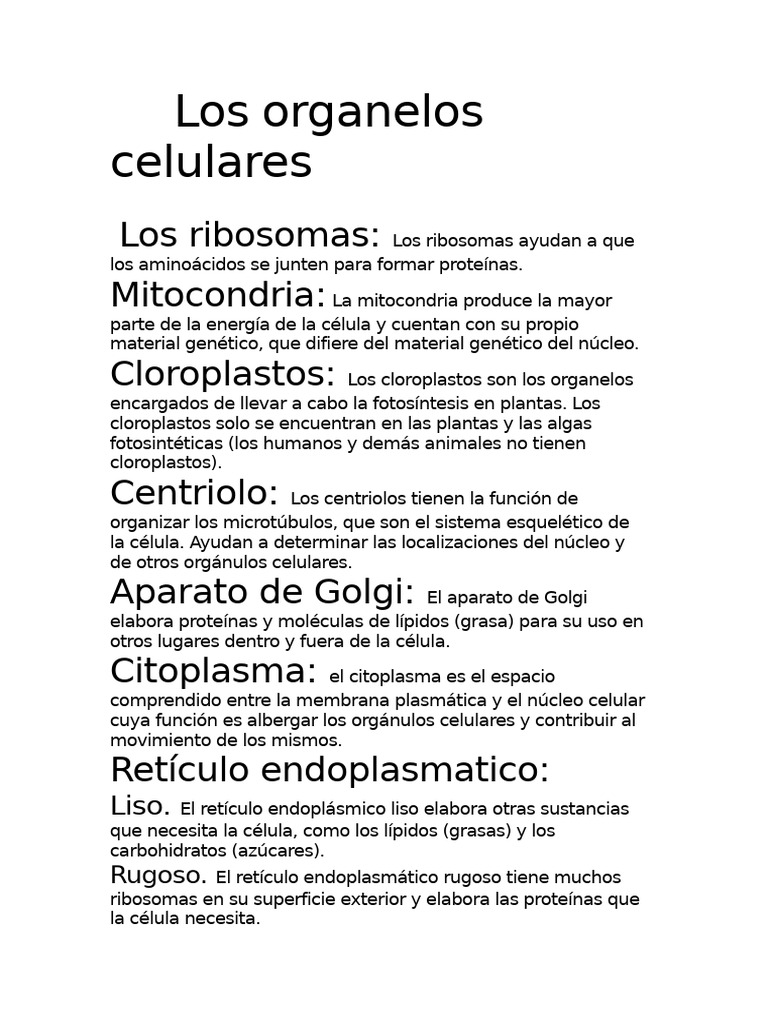 Funciones de los organelos celulares | PDF