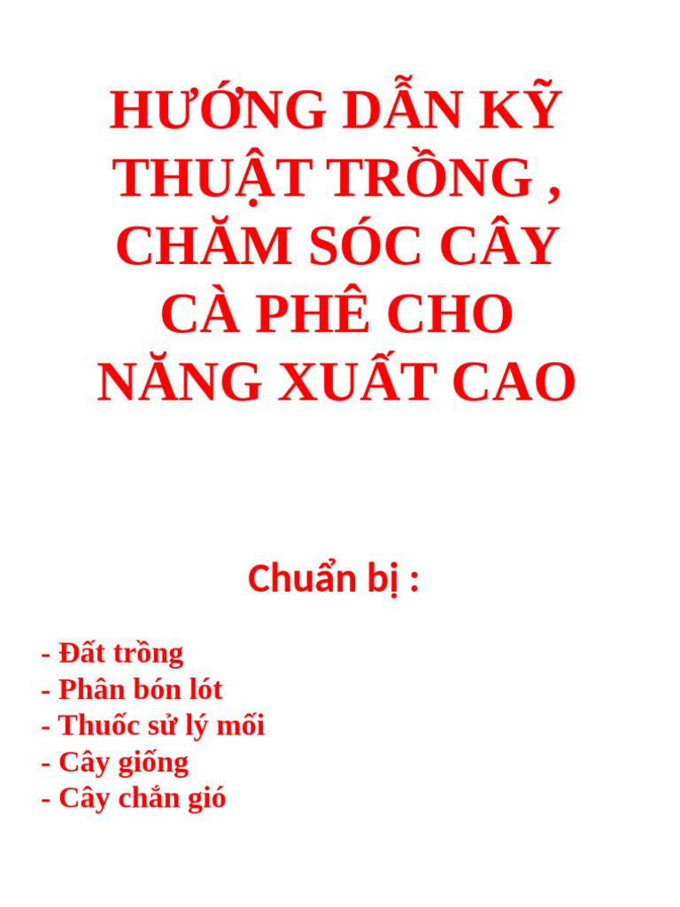 Cà Phê 1 | PDF