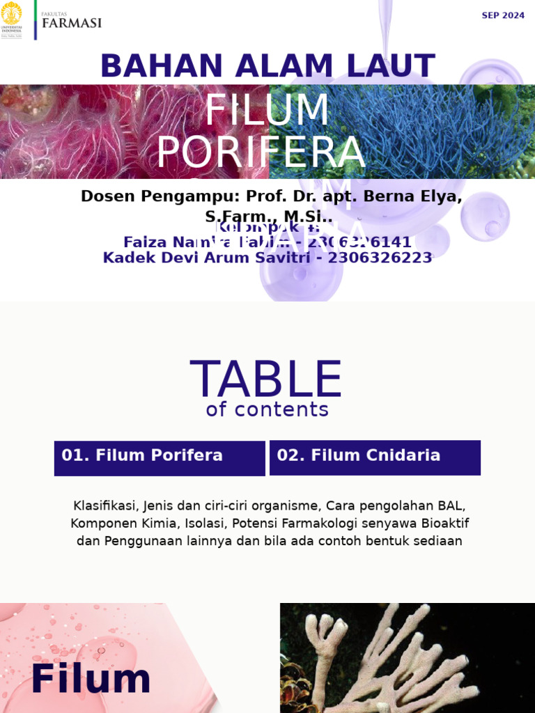 Filum Porifera & Filum Cnidaria | PDF