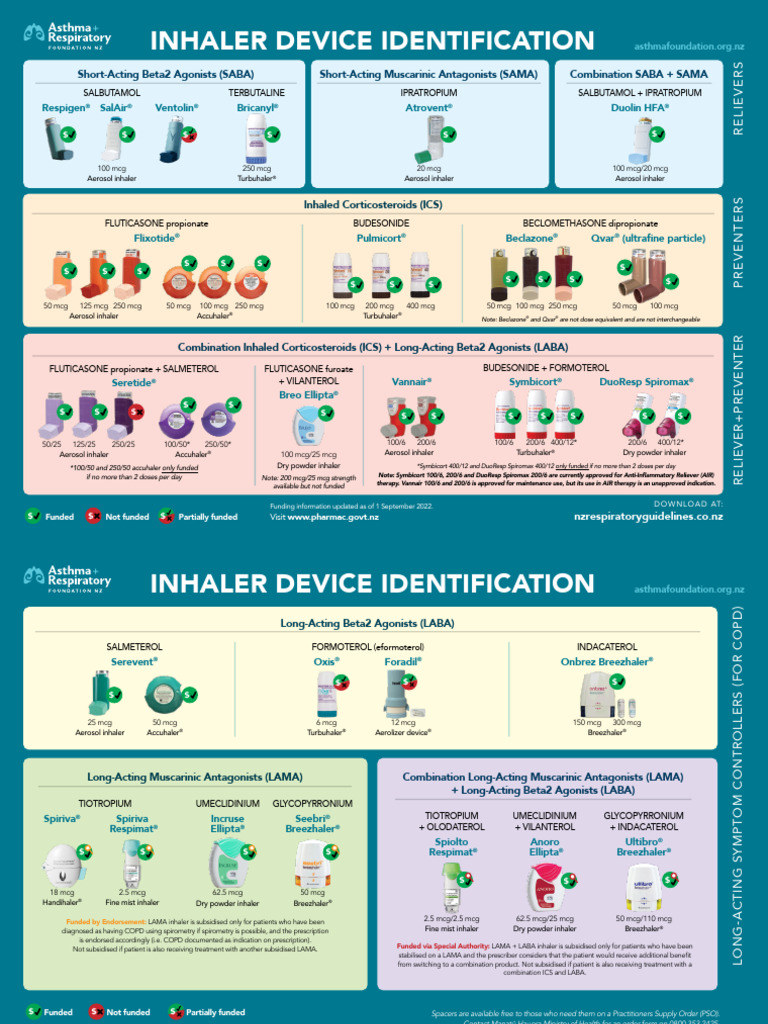 inhaler | PDF | Pulmonology | Medical Treatments