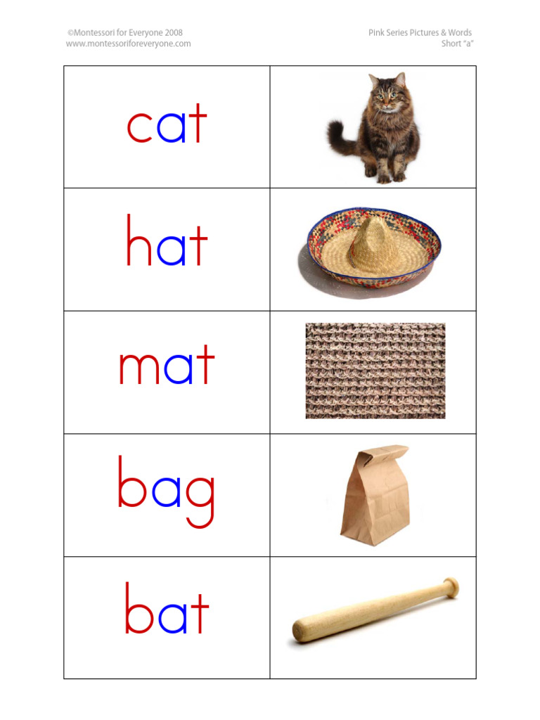 Montessori Pink Series Word List | PDF