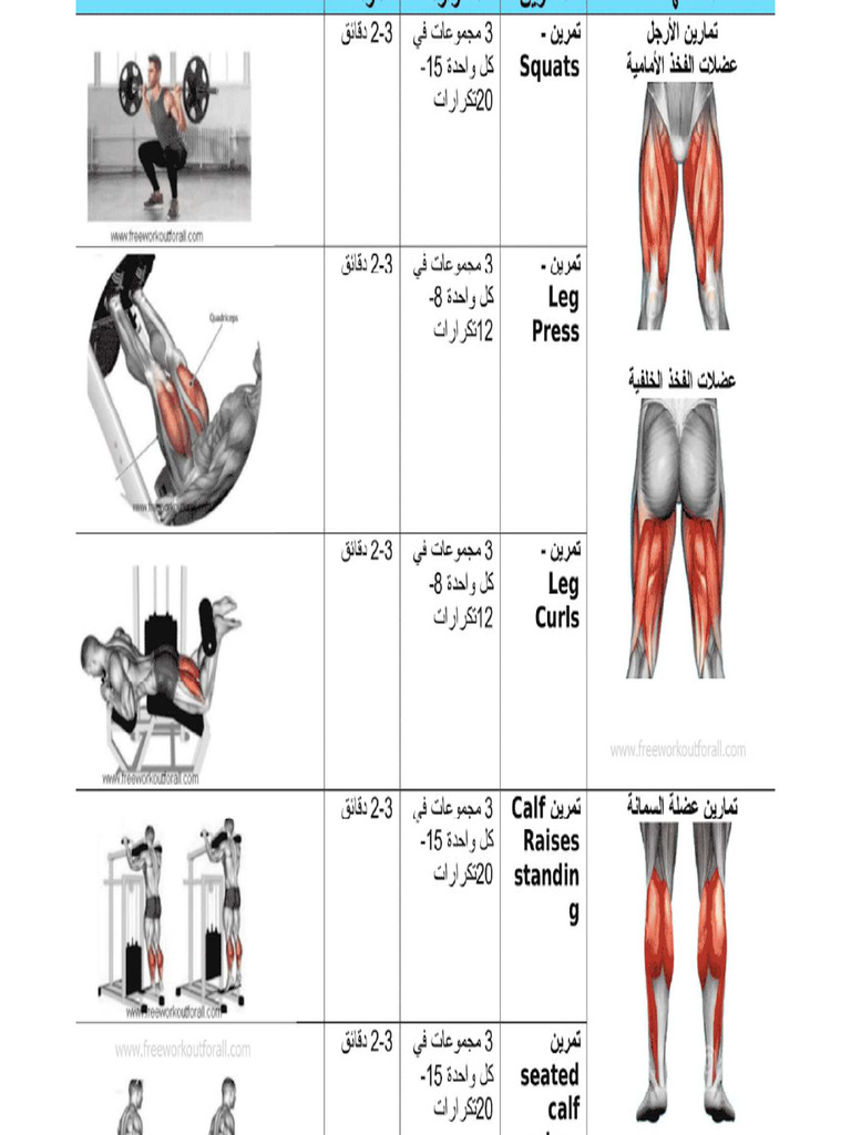 Leg Training | PDF