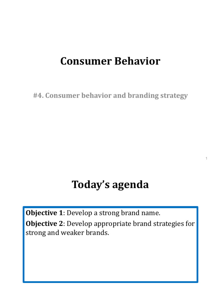 4. CB_Consumer behavior & branding strategy | PDF | Brand | Consumer Behaviour