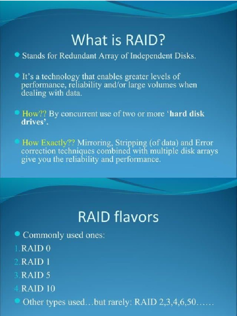 Raid | PDF