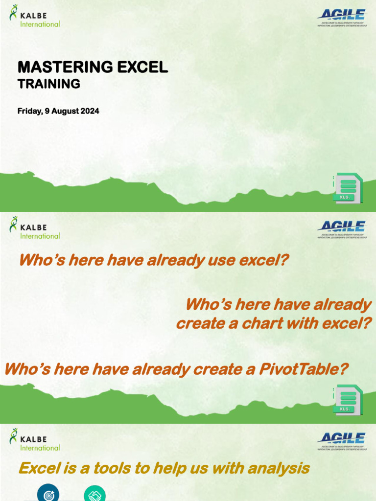 Excel Mastery Training Overview | PDF | Computing