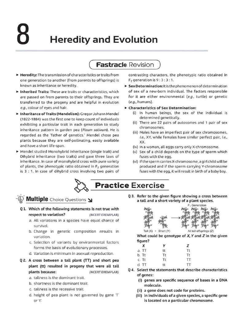 Selfstudys Com File-22 | PDF
