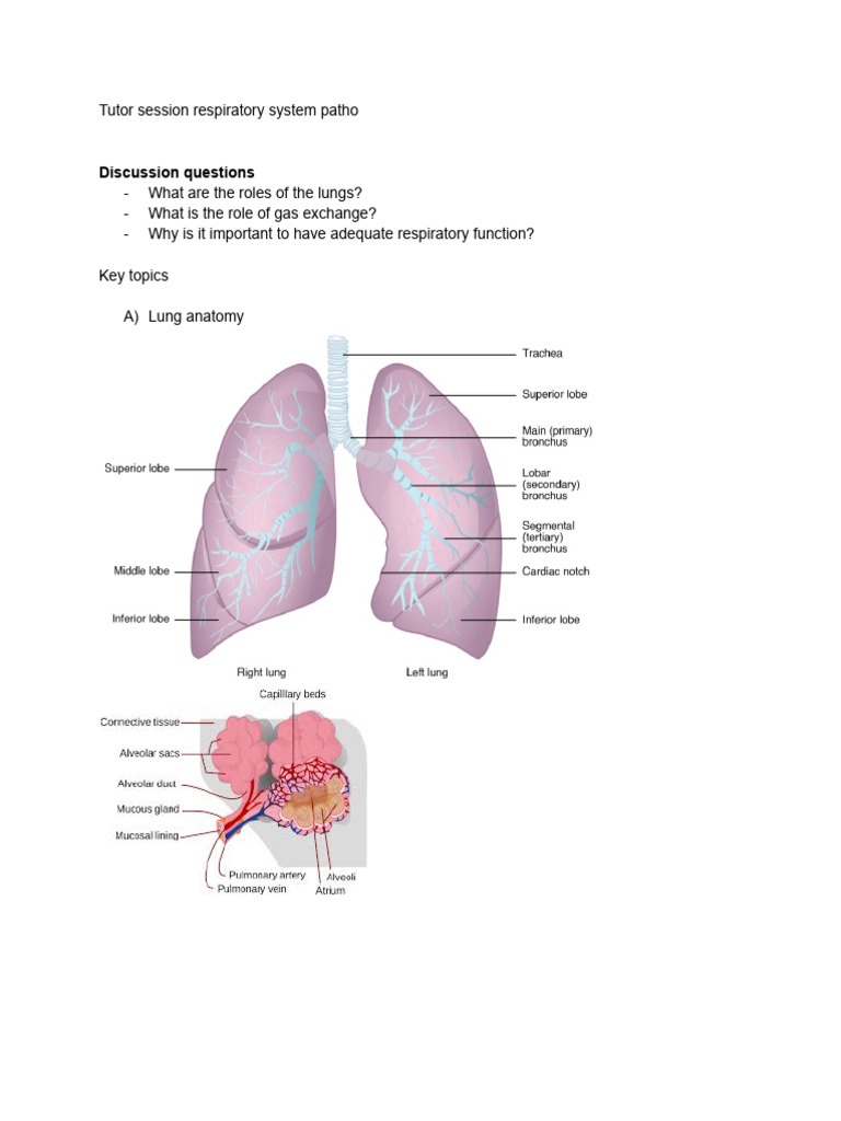Respiratory System Patho | PDF | Lung | Respiratory System