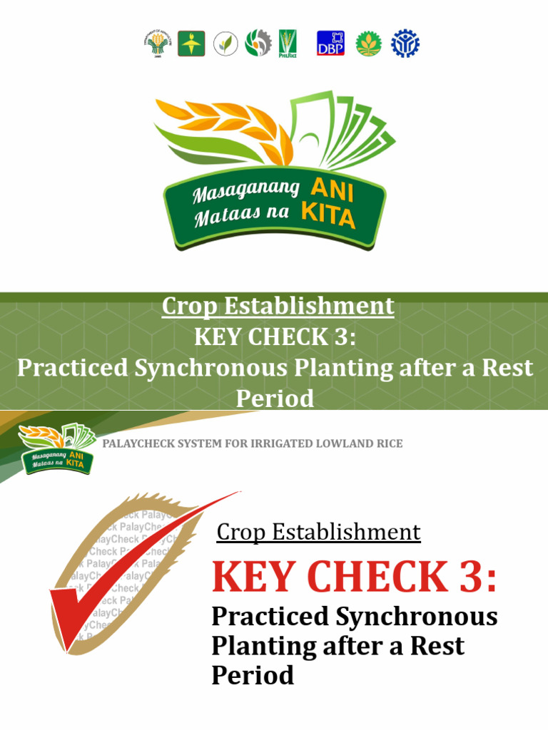 6 KeyCheck 3.pptx | PDF | Rice | Irrigation