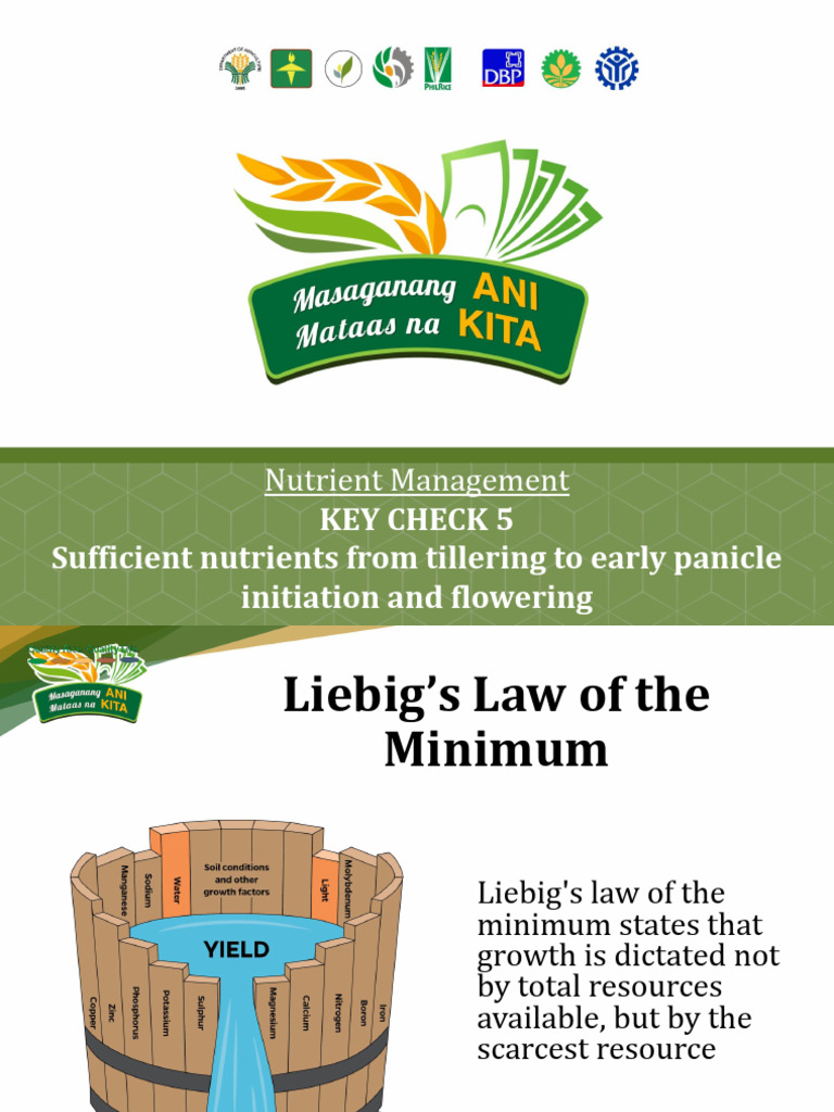 11 KeyCheck 5 Special Topic - Tools To Assess Nutrient Deficiencies ...