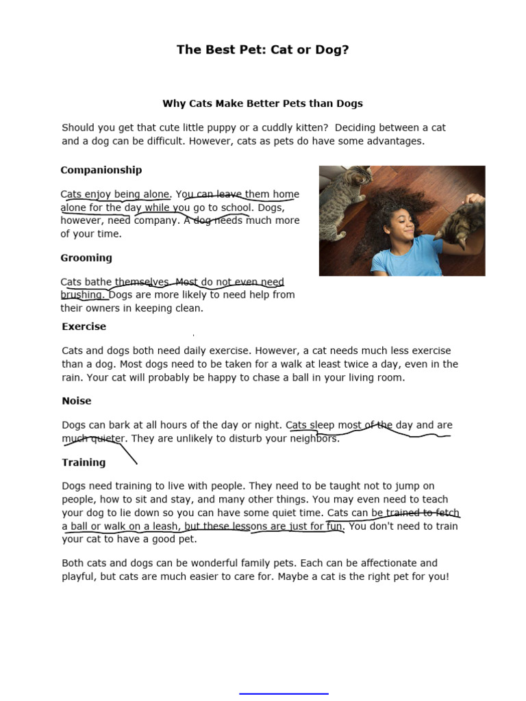 Cats vs Dogs: Choosing the Best Pet | PDF | Pet | Dogs