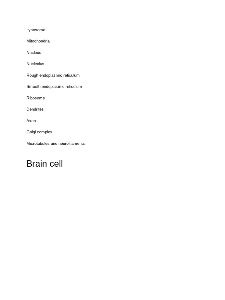 Key Brain Cell Components | PDF
