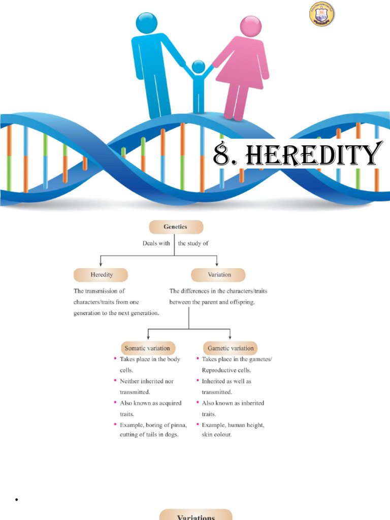 8. Heredity | PDF | Dominance (Genetics) | Genotype