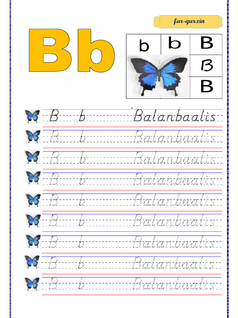 Farqurxin Qeybta 2aad | PDF