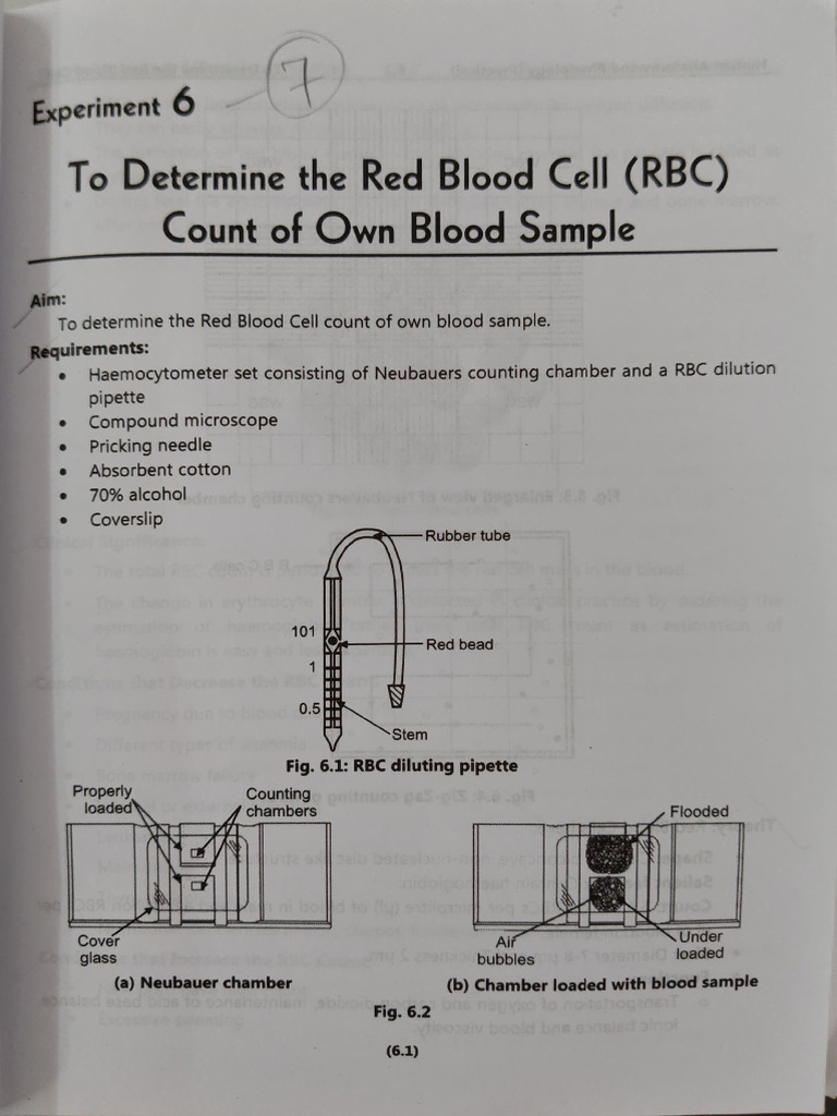 Count of Own Blood Sample: To Determine The Red Blood Cell (RBC) | PDF ...