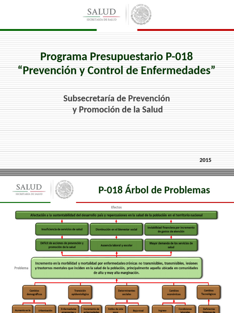 P018 Árbol de Problemas y Objetivos (1) | PDF