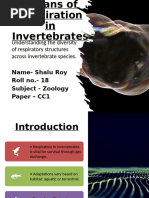 Scoliodon: Classification and Anatomy | PDF | Heart | Gill