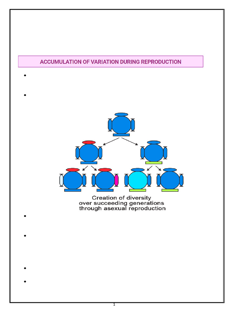 CHAPTER HEREDITY (1) | PDF | Dominance (Genetics) | Heredity