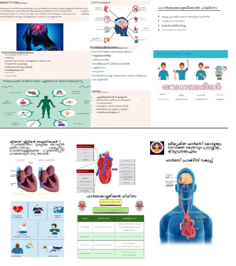 Sample Revised | PDF