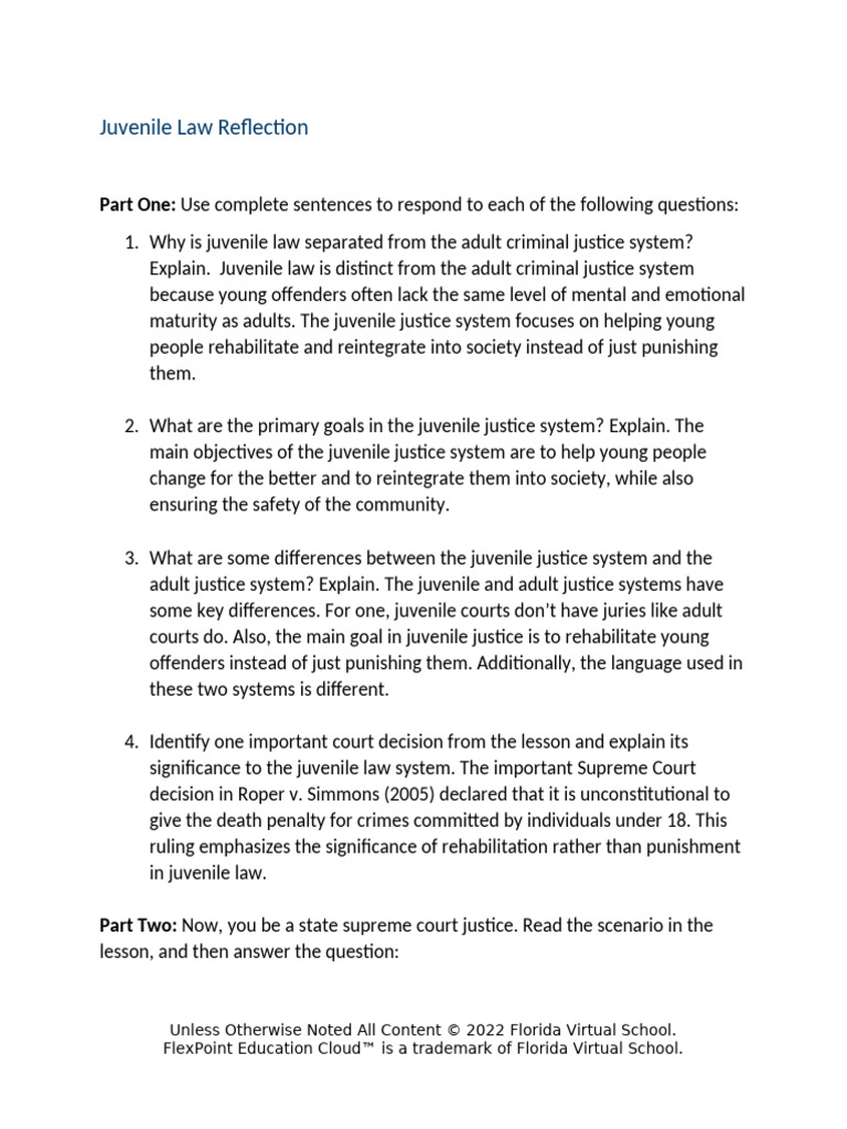 04 03 Juvenile Law Reflection | PDF | Juvenile Court | Eighth Amendment ...