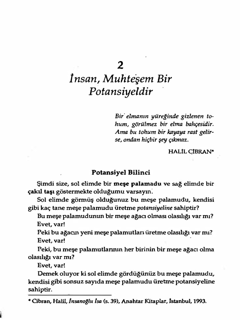 Doğan Cuceloglu Insan-Muthis-Postansiyel | PDF