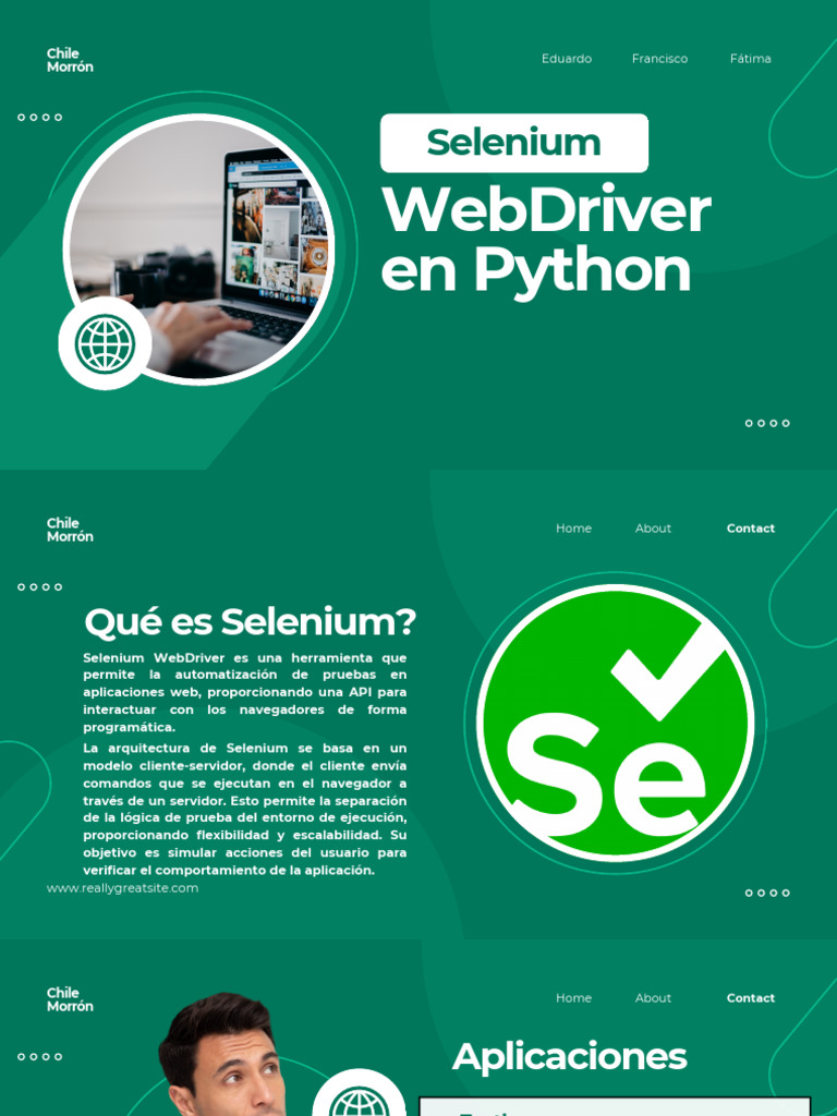 Selenium | PDF | Selenio (software) | Ingeniería de software