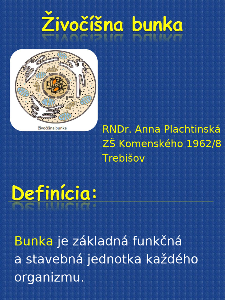 Živočíšna bunka (1) | PDF