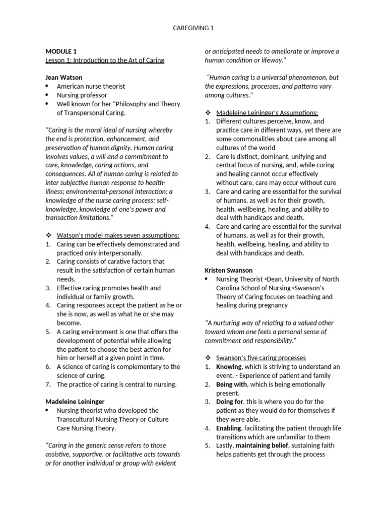 Introduction to Nursing Care Theories | PDF | Communication | Nonverbal ...