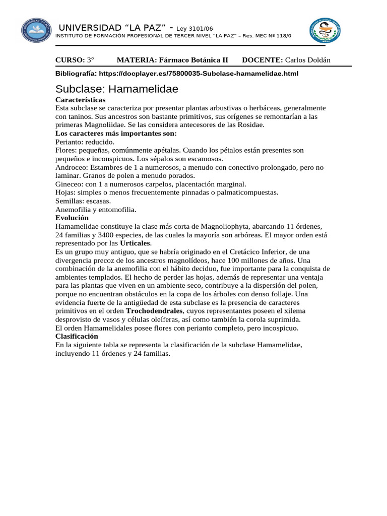 Características y Clasificación de Hamamelidae | PDF | Flores ...
