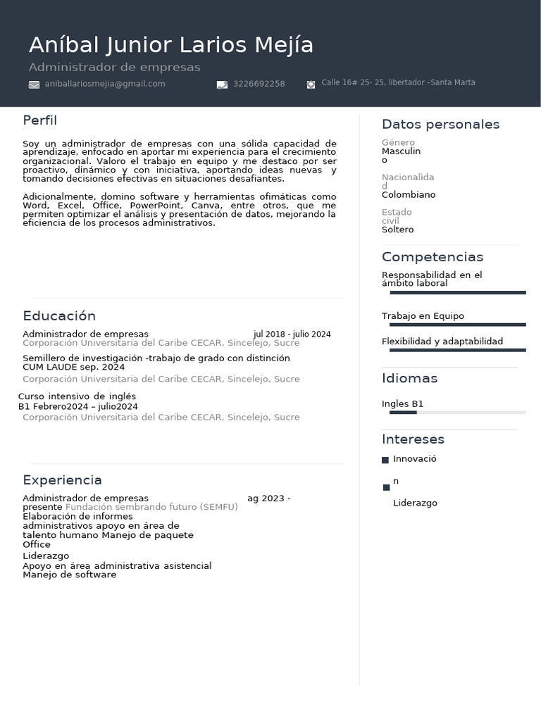 Anibal Junior Larios Mejia - Administrador de Empresas | PDF ...