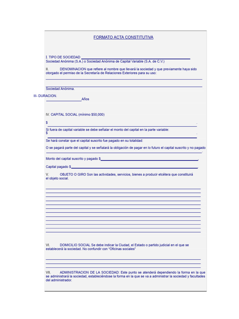 Formato Acta Constitutiva | PDF