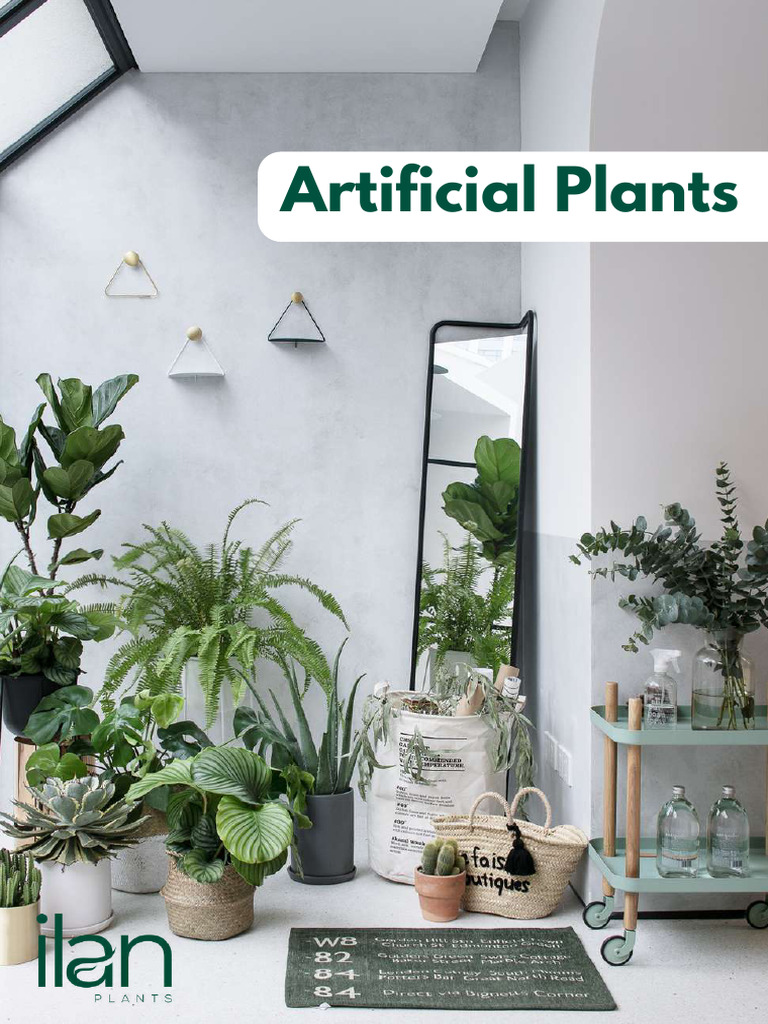 Ilan Plants Catalog - Nov'24 | PDF | Plants | Botany