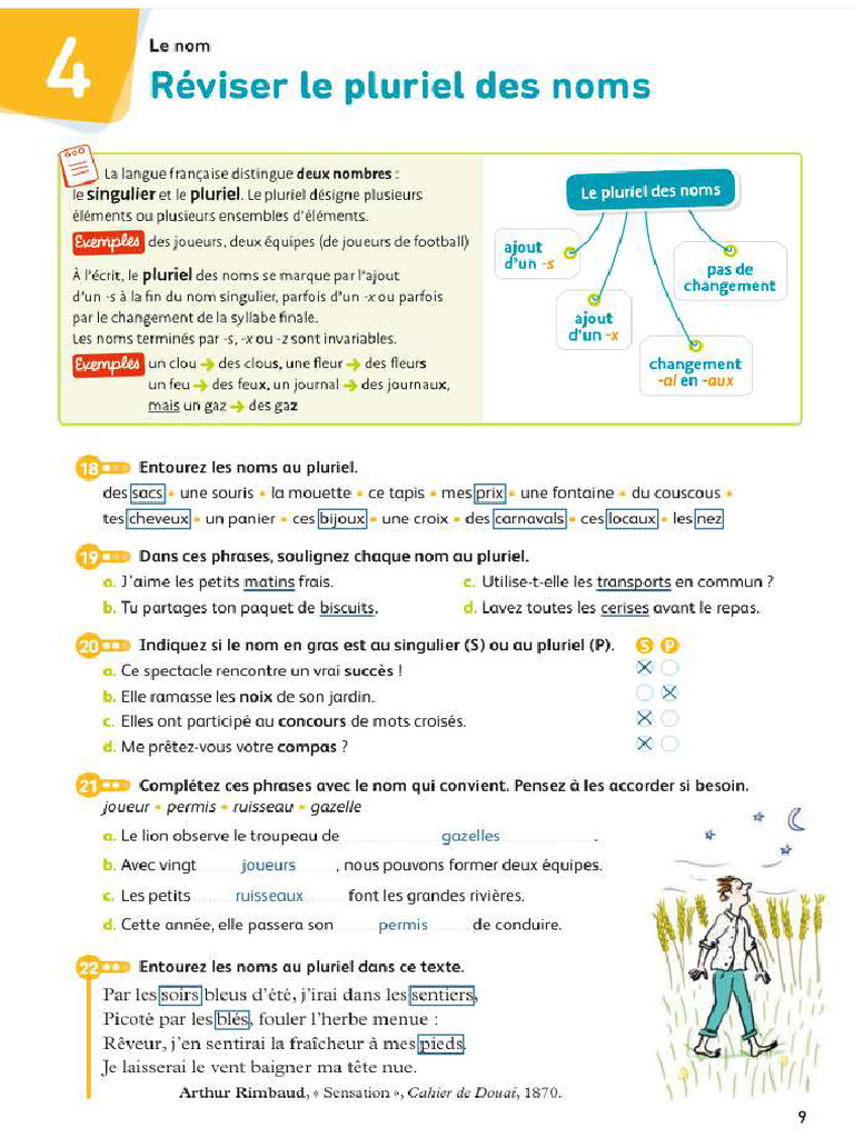 Réviser Le Pluriel Des Noms | PDF