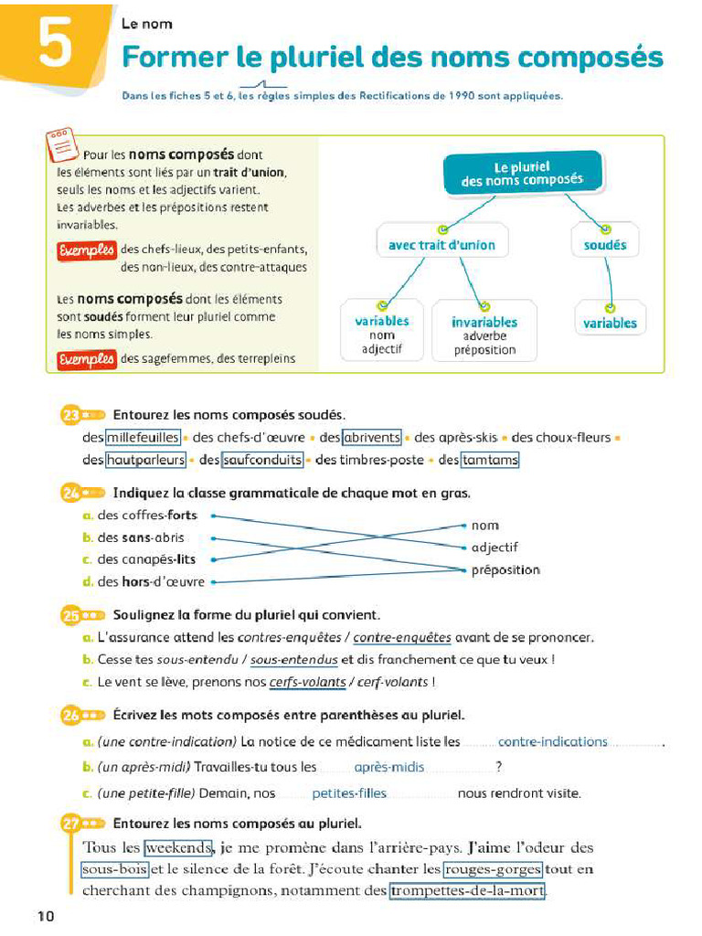 Former Le Pluriel Des Noms Composés | PDF