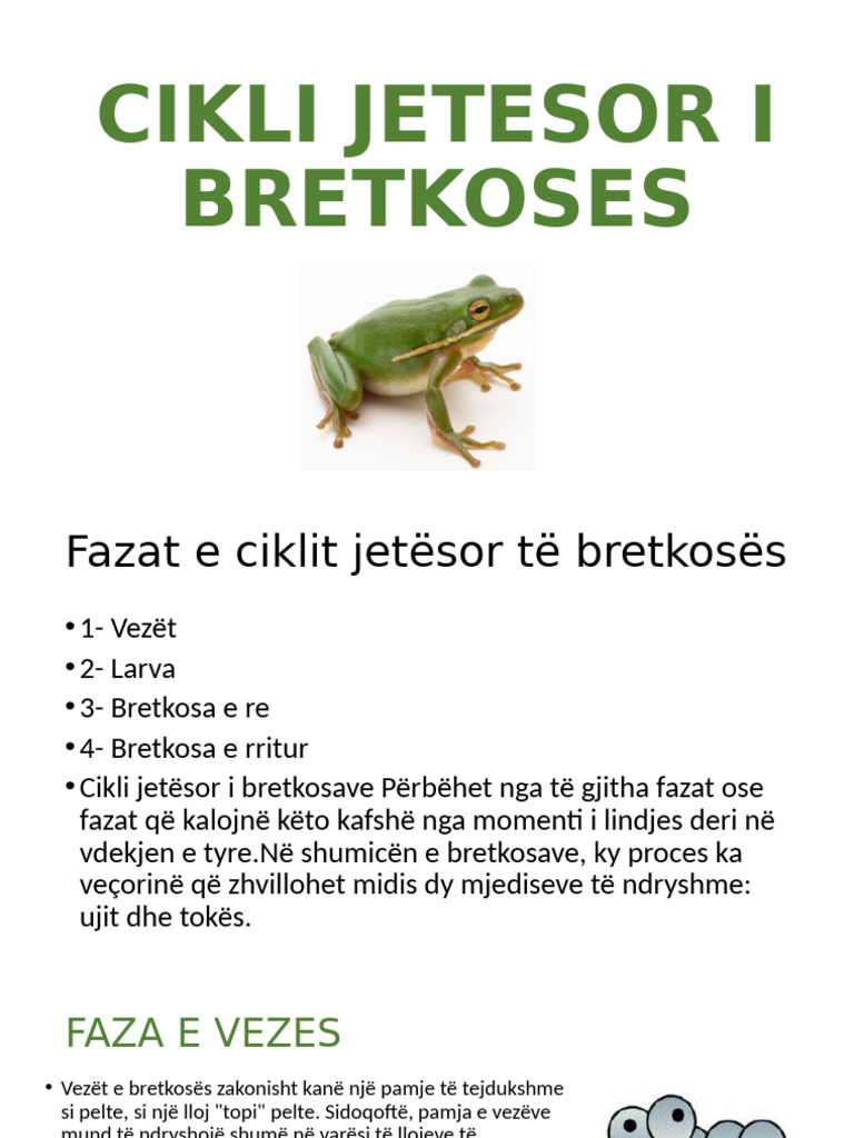 Cikli Jetesor I Bretkoses | PDF