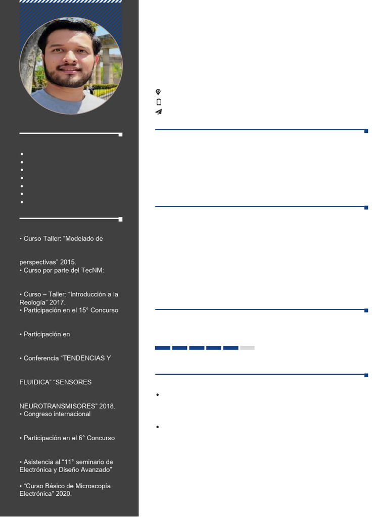 Formato_curriculum | PDF | Nanotecnología | Ciencias fisicas