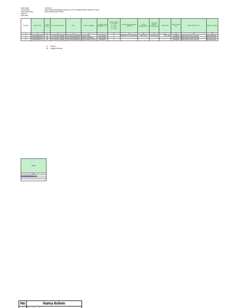 Form Pengajuan Bpjs Kesehatan 2024 A.N. Zairul Ali Zain - SDN Karang ...