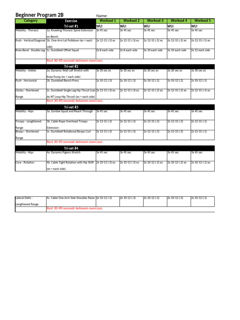 PPDM Beginner Program 2B PRINT FINAL | PDF | Musculoskeletal System ...
