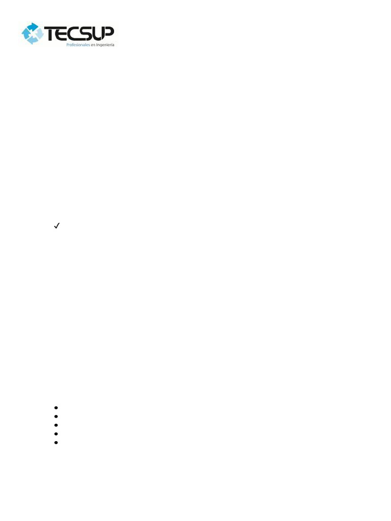 MODELO DE INFORME 2024 II (1) | PDF