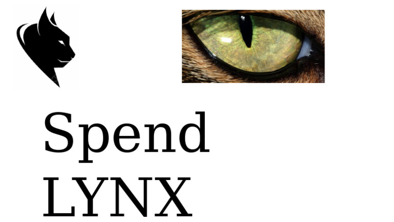 Spend LYNX | PDF