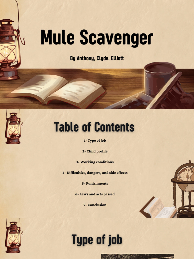 Mule Scavenger - 20241111 - 154832 - 0000 | PDF