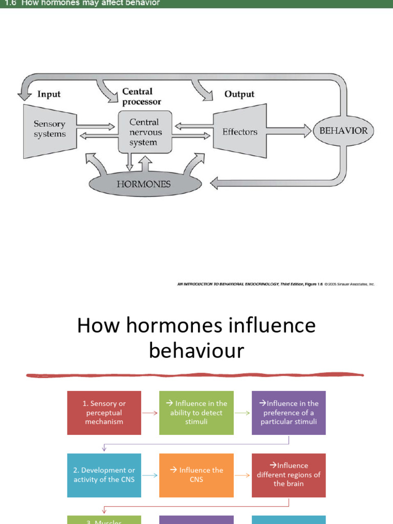 Hormones and Behaviour-Part 3-2023 | PDF
