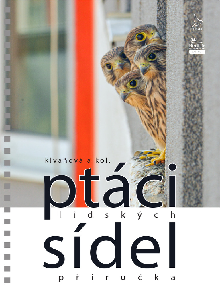 Ptaci Sidel CZ Final | PDF