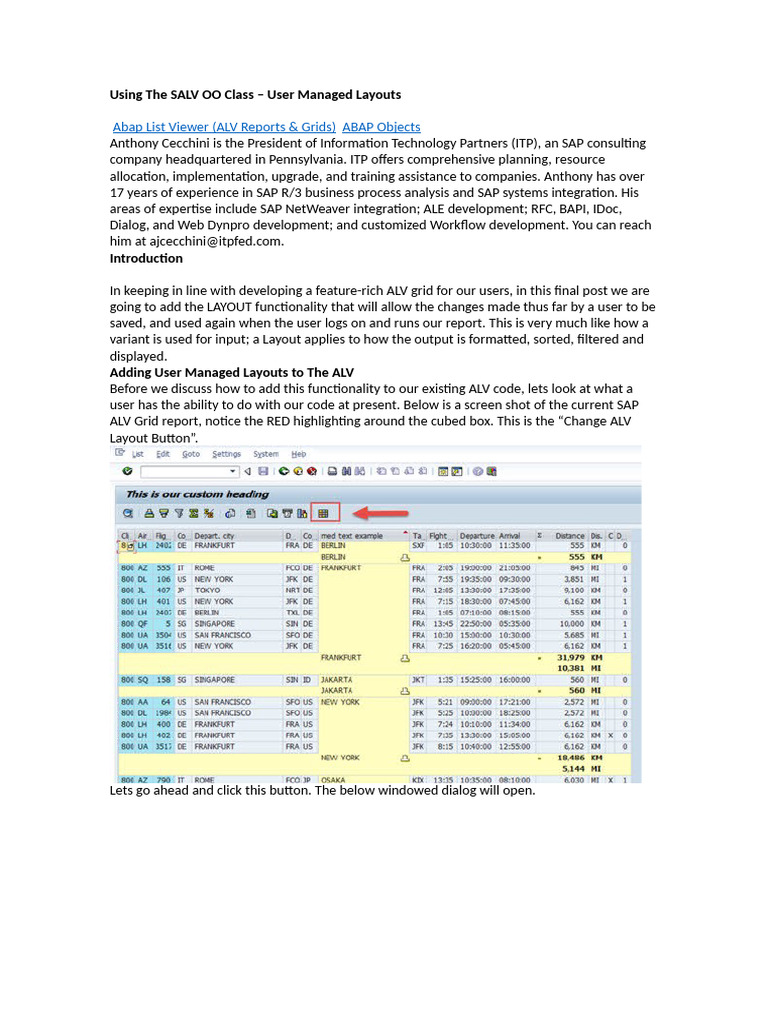 Using The SALV OO Class - User Managed Layouts | PDF | Microsoft Excel | Systems Engineering