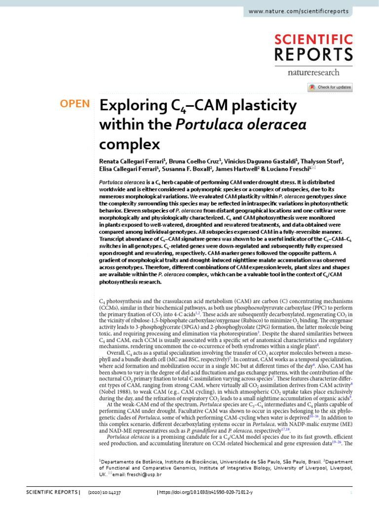 Exploring C4–CAM Plasticity Within the Portulaca Oleracea Complex | PDF | Principal Component ...
