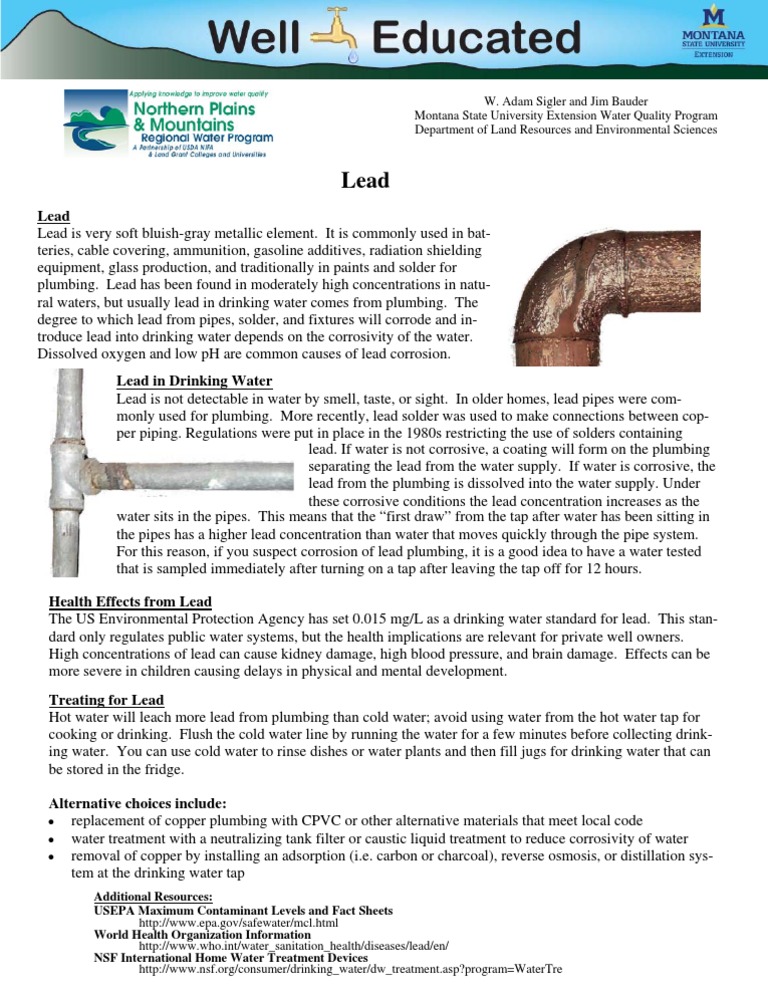 Well Fact Sheet: Lead | PDF | Lead | Water Purification