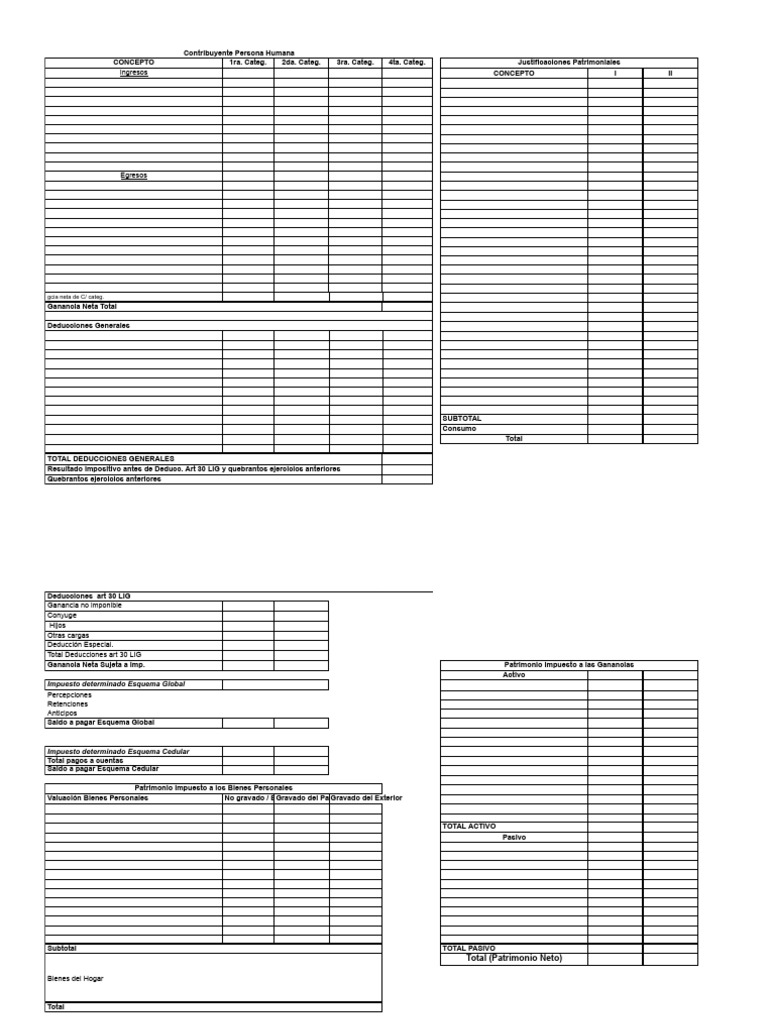 Declaración Jurada Ganancias y Bienes Personales | PDF
