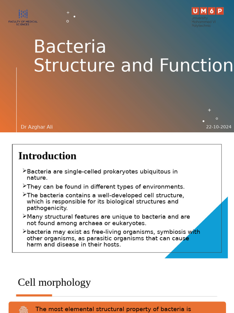 Bacterial Structure and Function Overview | PDF | Plasmid | Vacuole