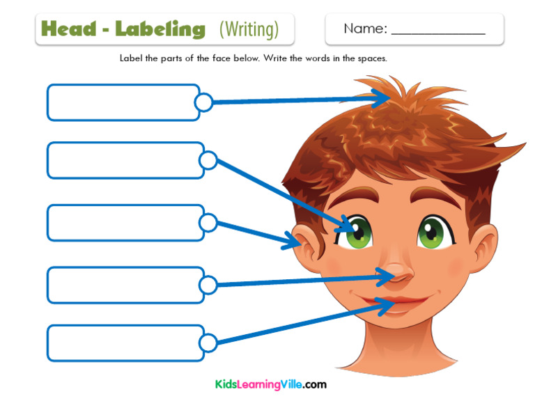 Face Parts Labeling Activity | PDF