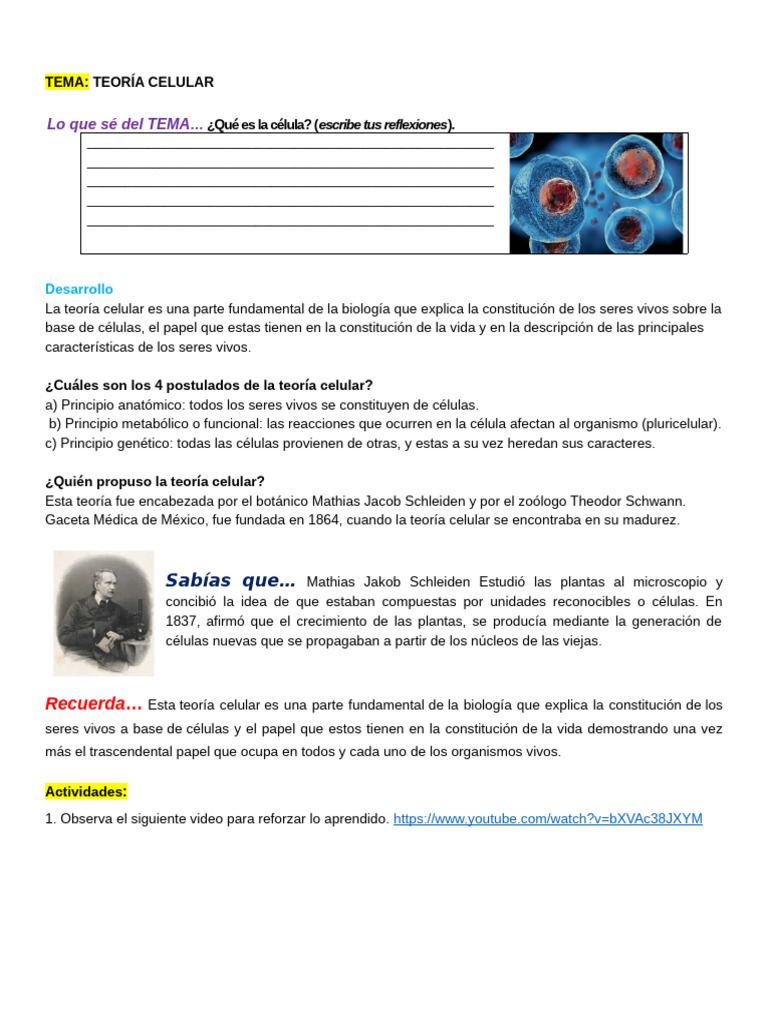Biología - Teoria Celular | PDF