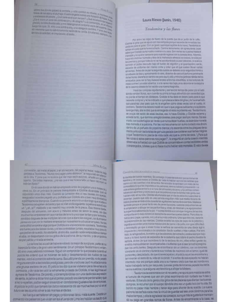 Teodomira y Las Flores, Laura Riesco | PDF